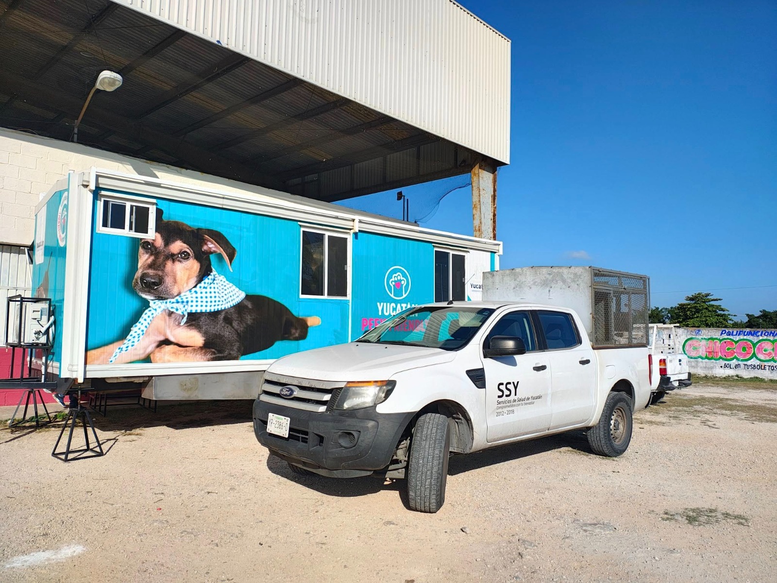 Esterilización gratuita de perros y gatos en Yucatán