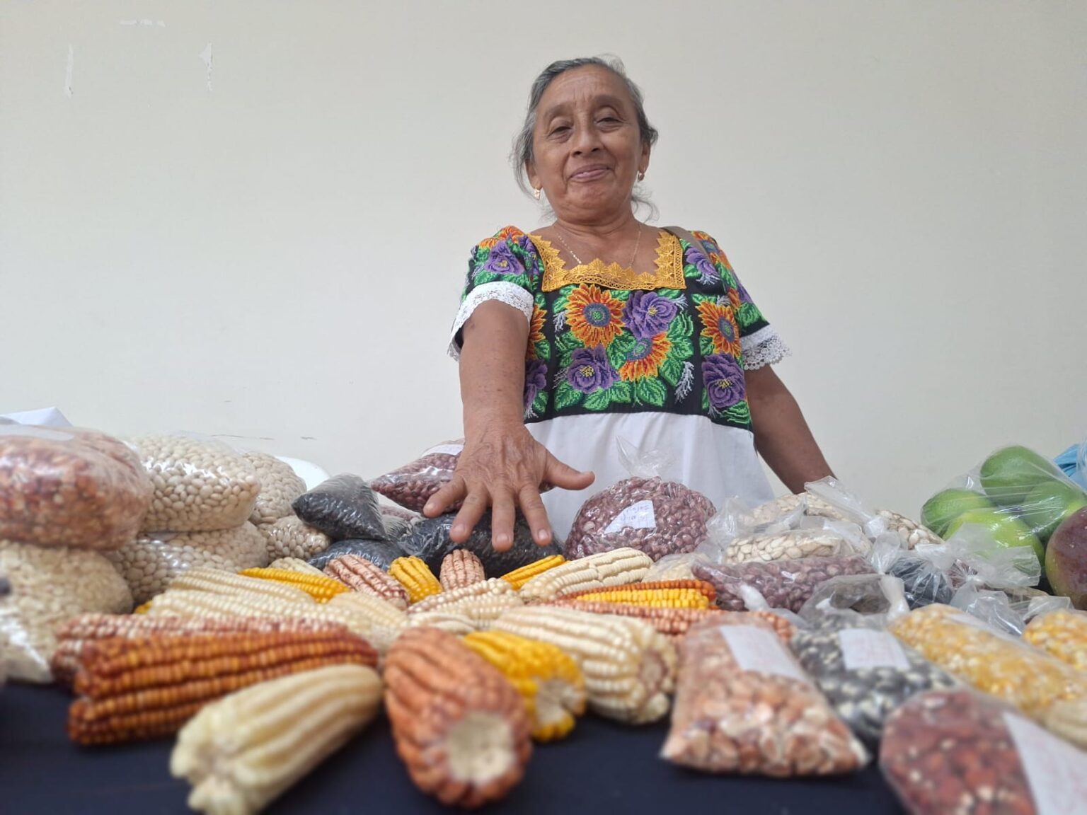 María Feliciana, Yucateca que protege la milpa y el maíz - Diario 24 ...
