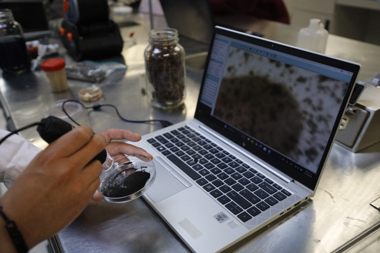 IPN desarrolla electrodos con sargazo para descontaminar aguas - Diario ...